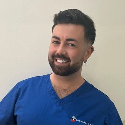 Nursing Team at London Vet Specialists